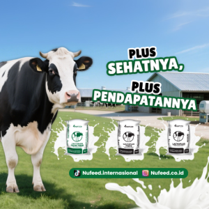 PT. Nufeed Internasional Indonesia